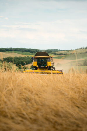 Le temps des moissons – Juillet 2024 à Albi – Maison Saint Honoré